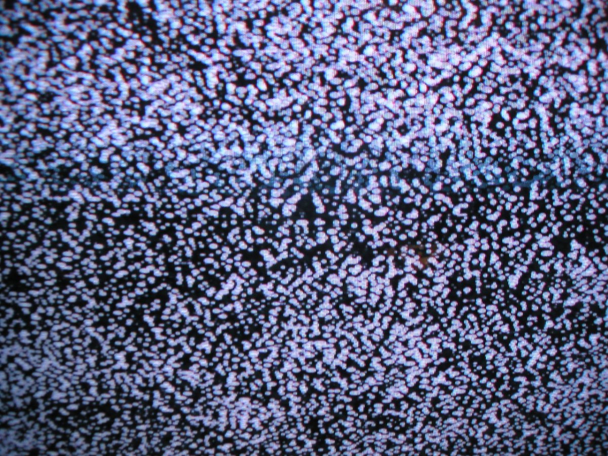 New Site Testing – The Screaming Wall